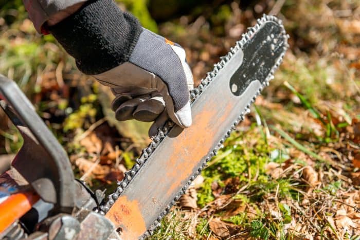 What is the Best Small Chainsaw of 2023? - Gardening Mentor