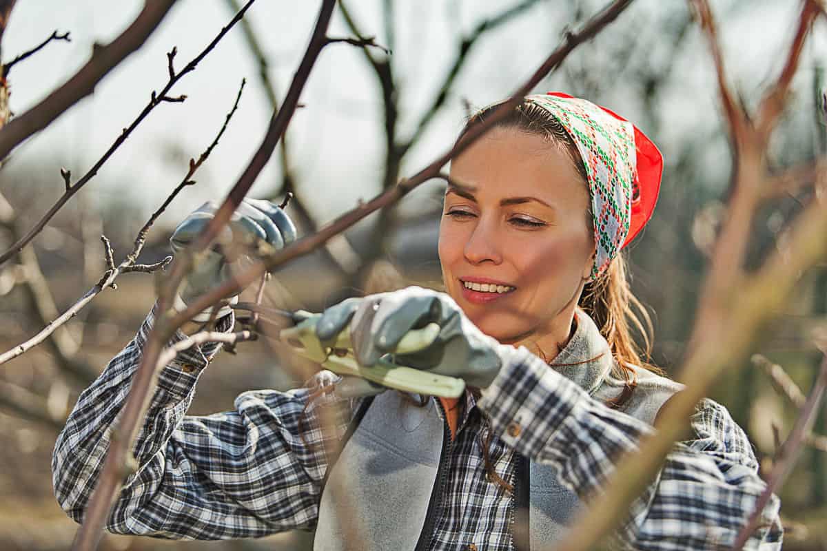 10 Simple Steps To An Awesome Spring Garden Cleanup - Gardening Mentor