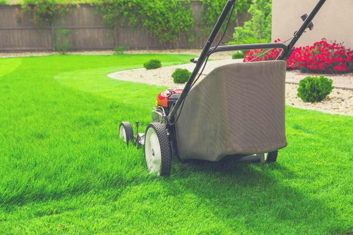 What is the Best Lawn Sweeper of 2024? - Gardening Mentor