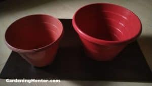 12 Ultimate Steps To Prepare A Container For Planting - Gardening Mentor